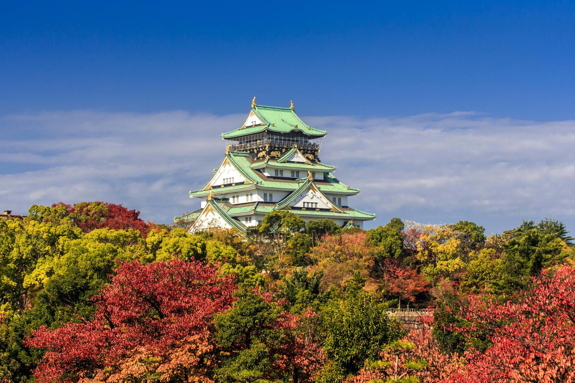 Small Group Tours And Luxury Holidays Inc Osaka Transindus